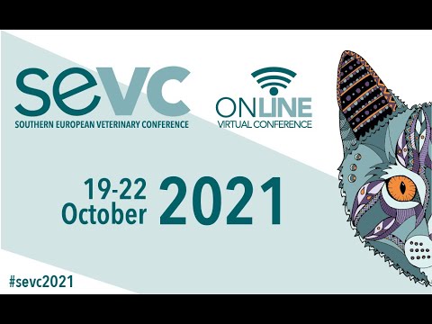 SEVC 2021 Online - YouTube