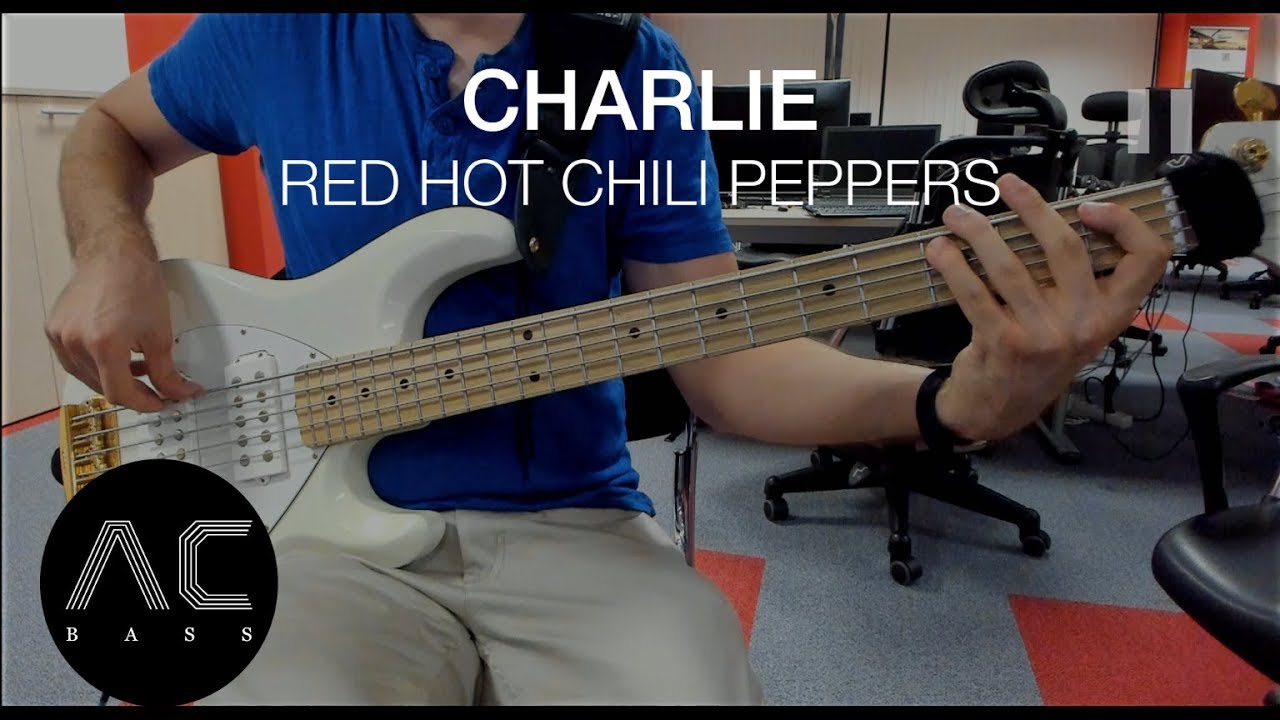 Charlie - Red Hot Chili Peppers [HD Bass Cover] - YouTube
