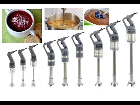 Επαγγελματικό Μίξερ Χειρός Ράβδος Robot Coupe Hand Blenders - YouTube