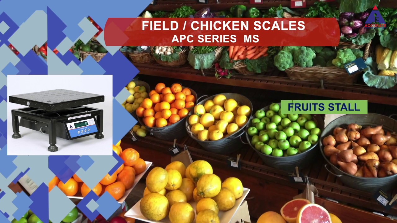 No-1 Chicken Weighing Scales|Field Scales| 50 Kg -100 Kg | Accurate ...