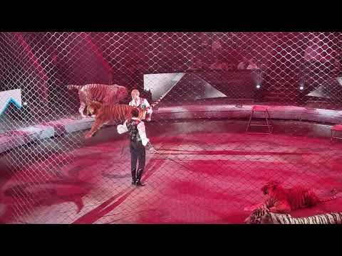 russian circus (nikulin)(3)