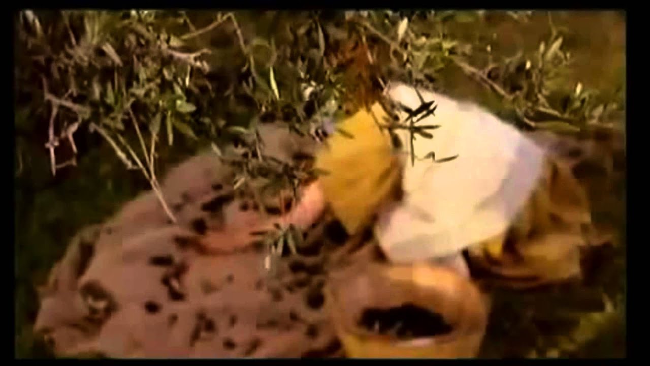 Greeks The Crucible of Civilization, Ep1, Revolution Full HD 1080p ...