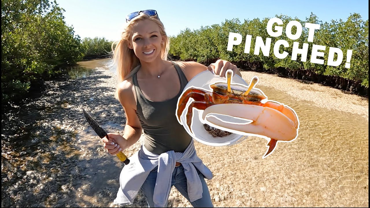 Hand-Catching FIDDLER CRABS for BAIT - YouTube
