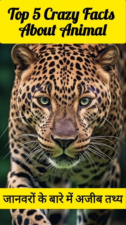 🤯 Crazy Facts About Animals 😱 Mindblowing Facts||Animal Facts||Amazing ...