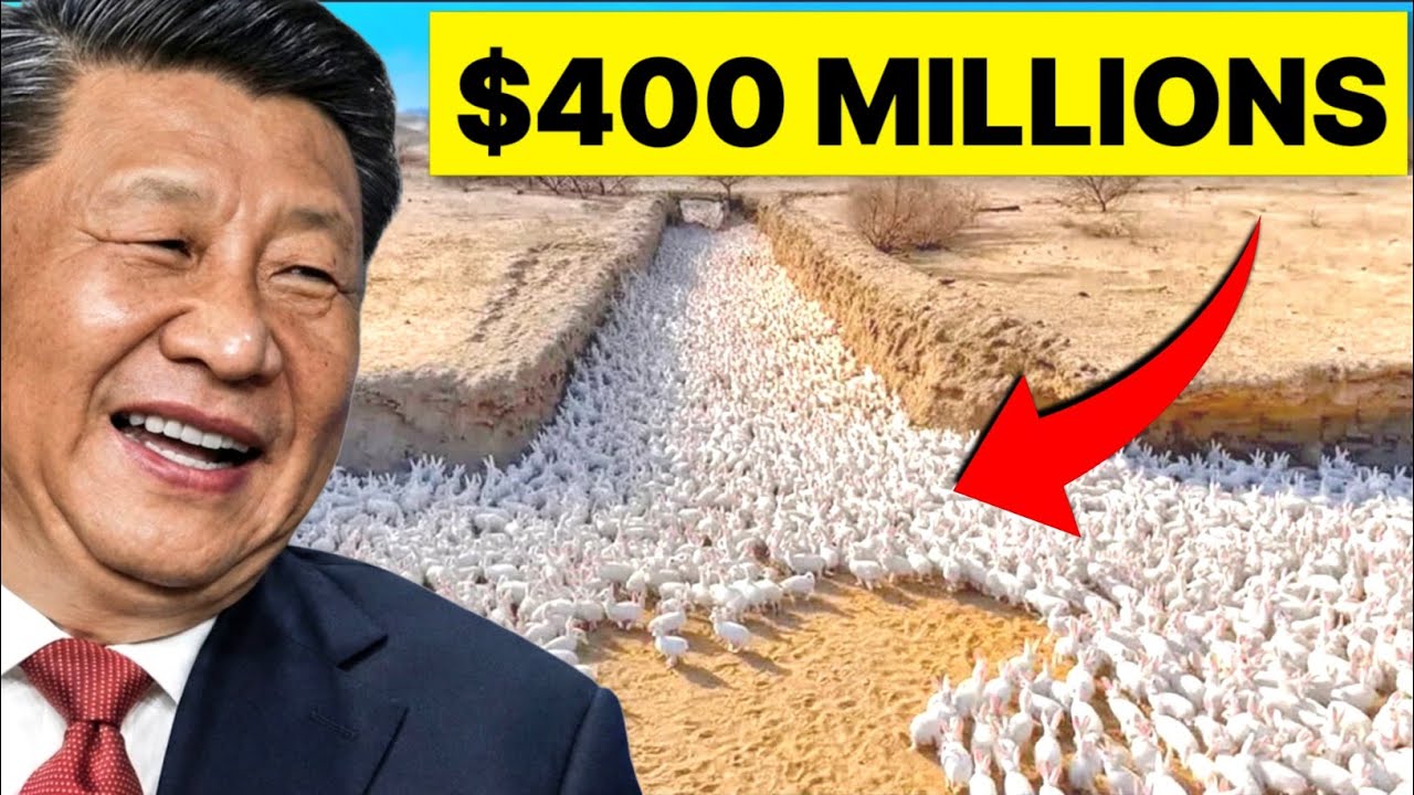 China Released Millions of RABBITS into a Desert (Unbelievable ...