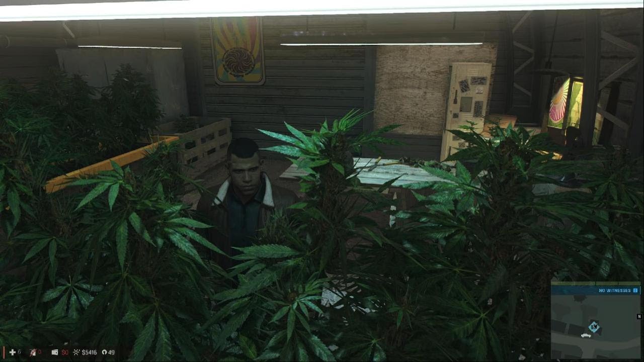 Mafia III: Definitive Edition | Harvesting Weed Gameplay - YouTube