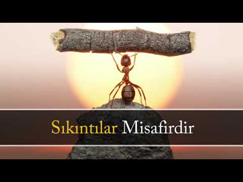 Sıkıntılar misafirdir.