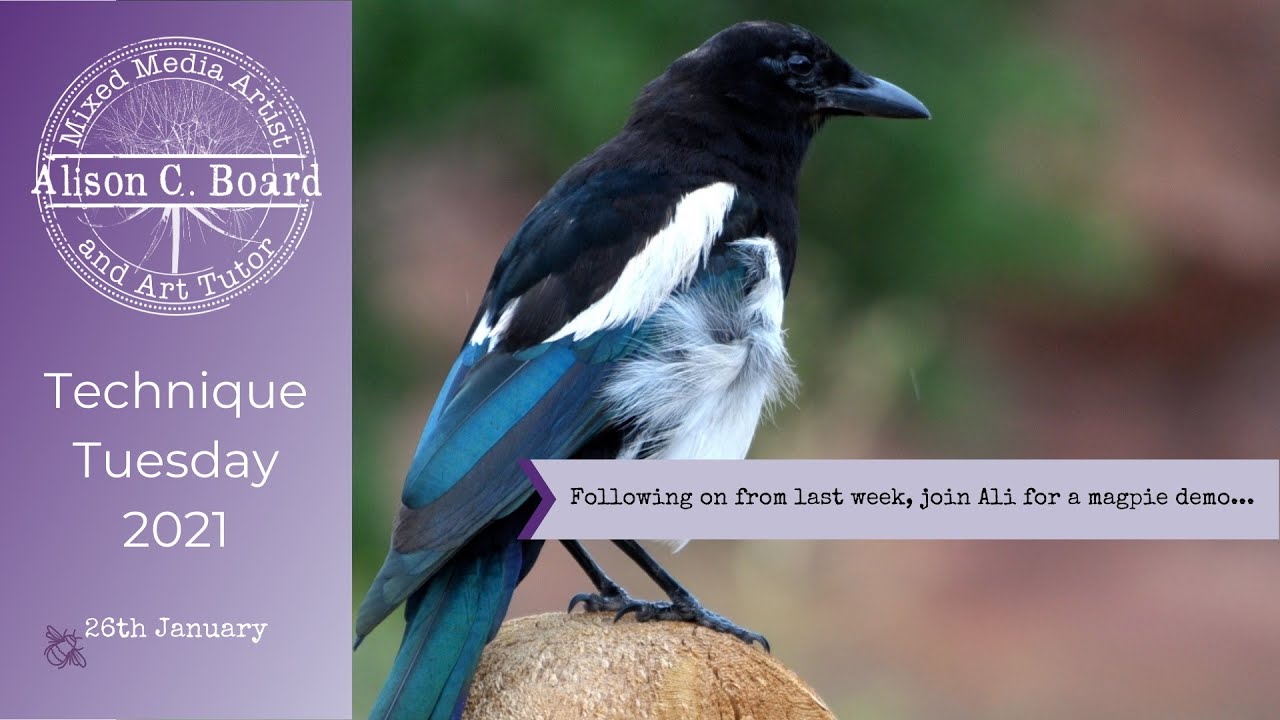Technique Tuesday: 26th January 2021 - Magpie - YouTube