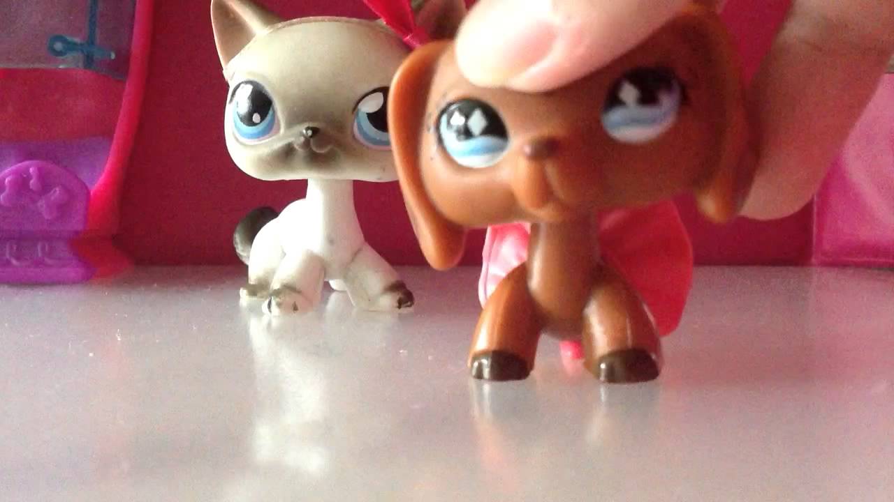 My New LPS - YouTube