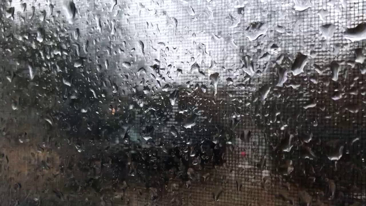 Listening To Rain For Kids - YouTube