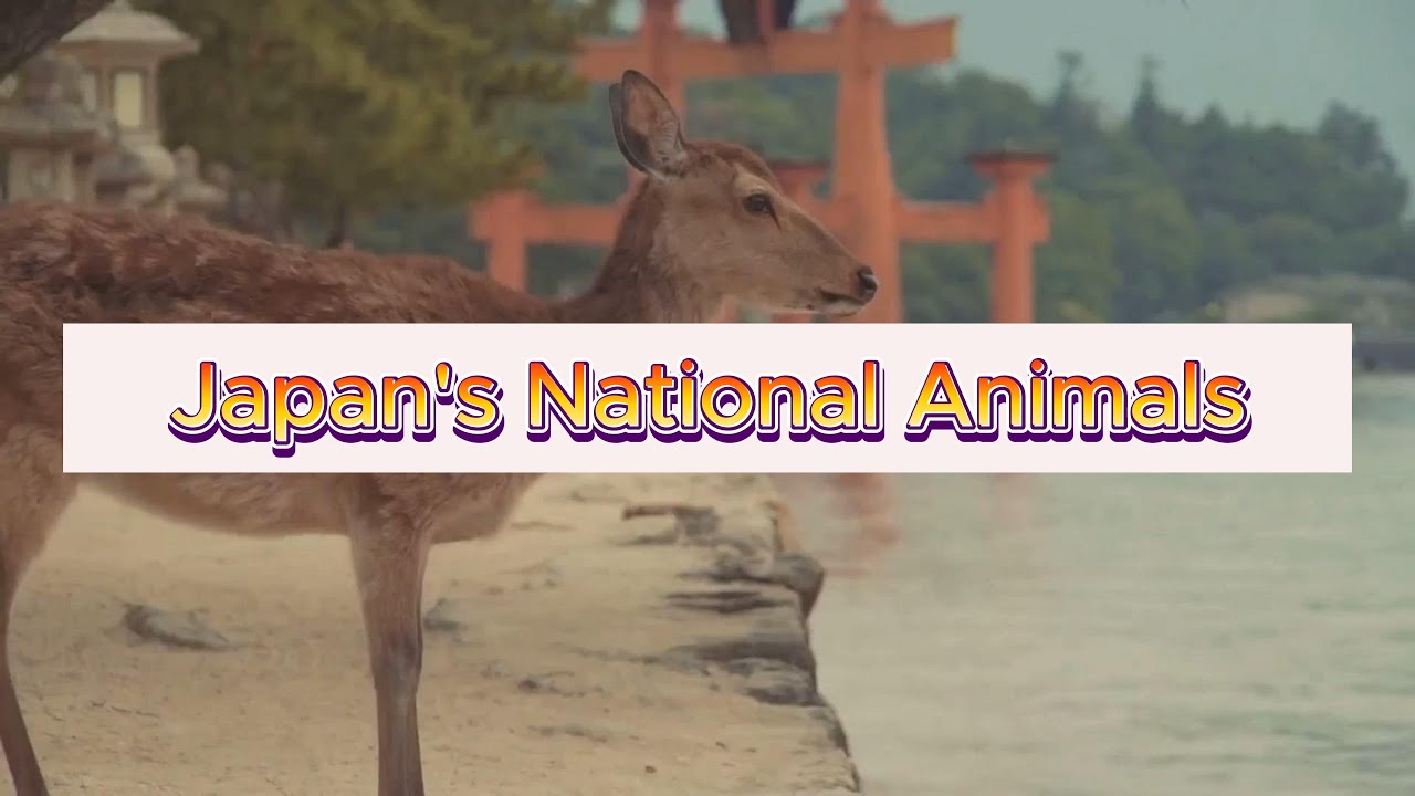 Discover Japan's National Animals! - YouTube
