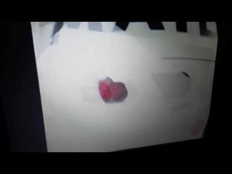 Post alpha bits Arthur PBS I love you dvd - YouTube