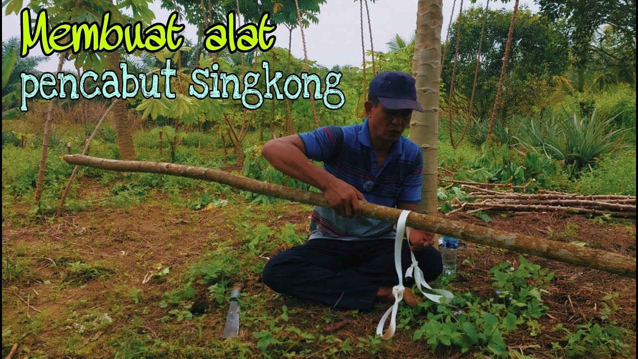 Cara Membuat Alat Bantu Pencabut Singkong Dengan Mudah Dan Tanpa Biaya ...