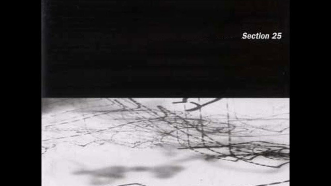 Section 25-Program For Light (Live 10-22-1985) - YouTube