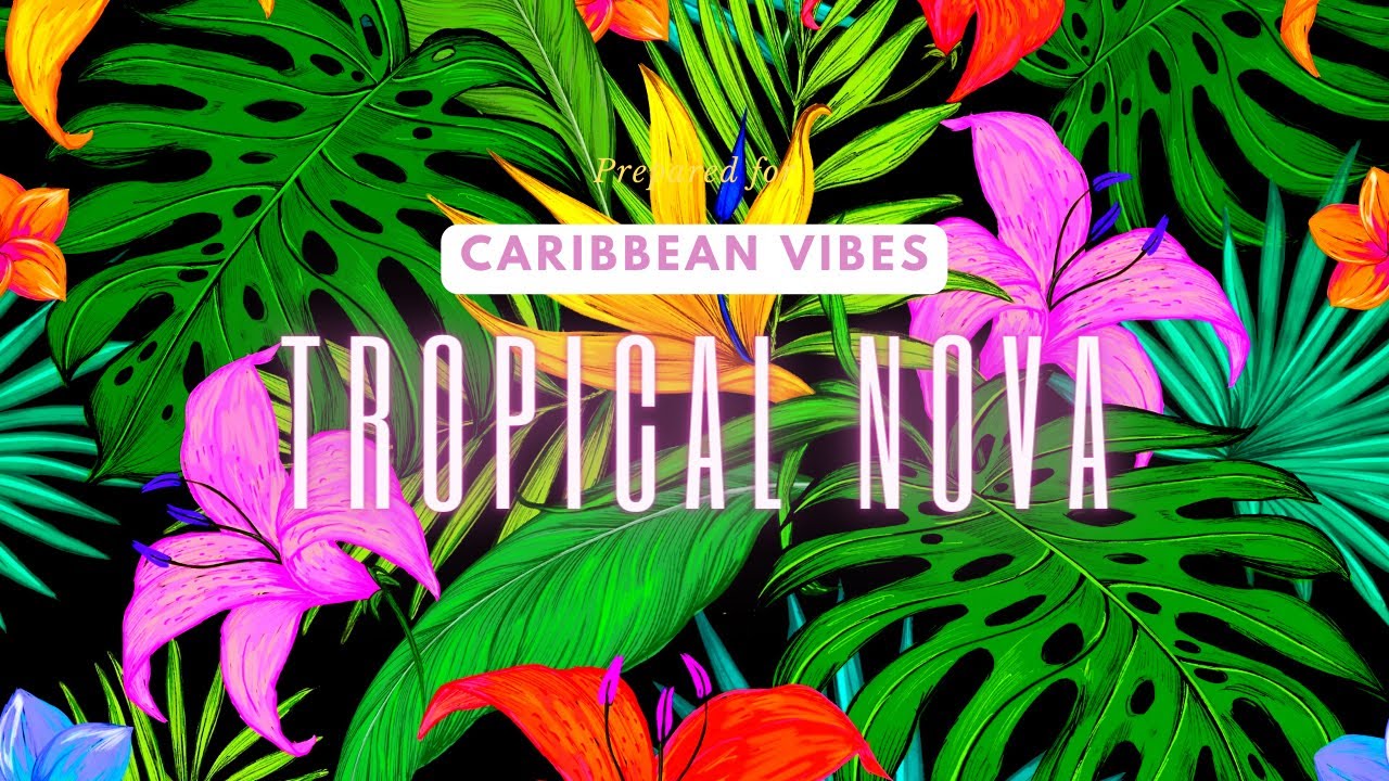 Caribbean Vibe - Tropical Nova - Mellow Grind - YouTube