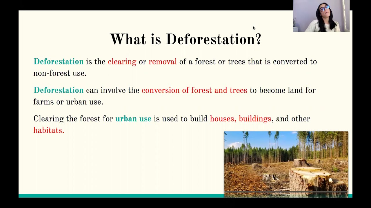 Deforestation Definition Eco Marxism And Deforestation | MR Online