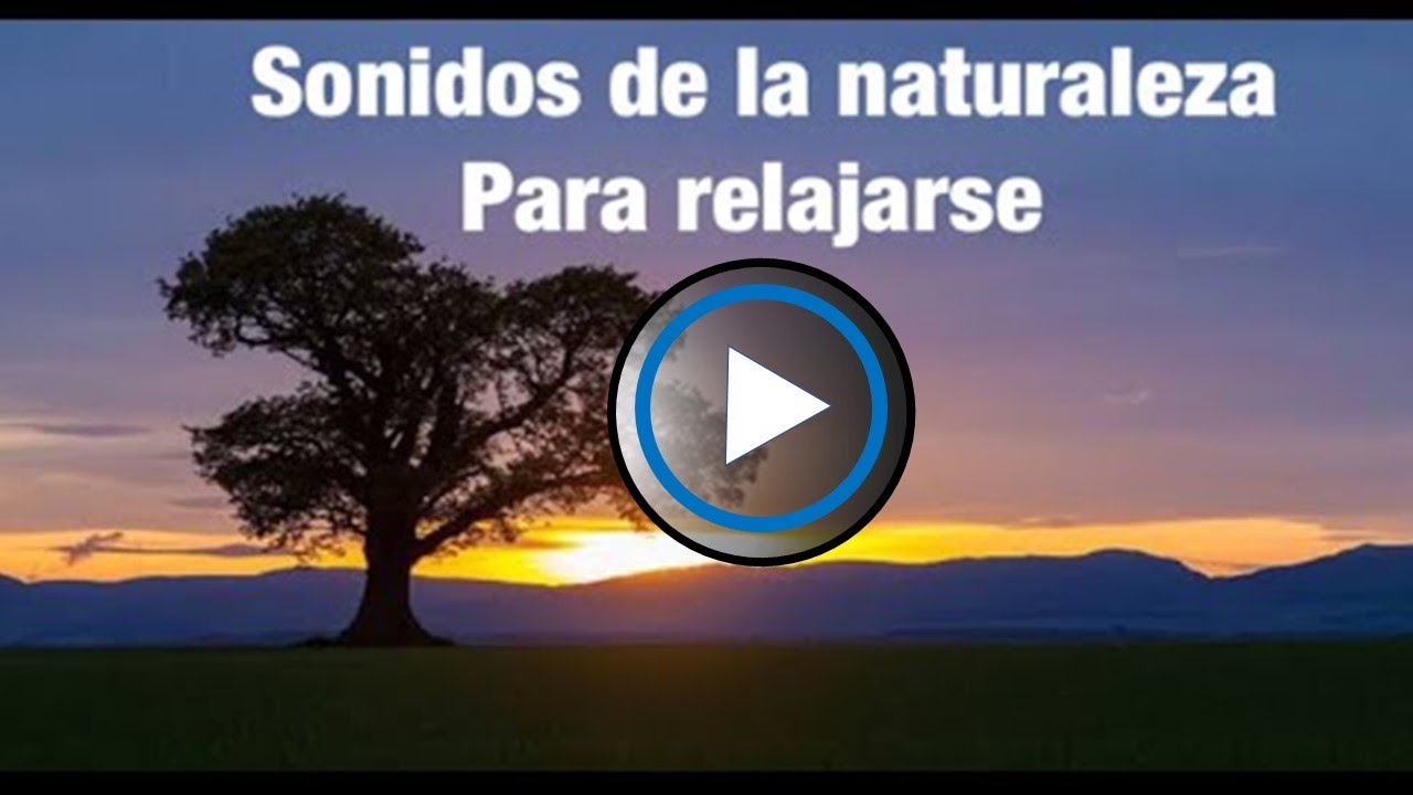 Sonidos de la naturaleza para relajarse - YouTube