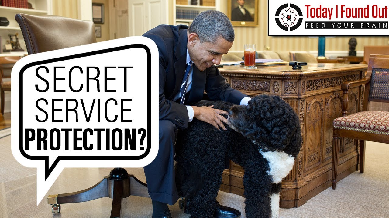 Does the President's Dog Get Its Own Secret Service Agents? - YouTube