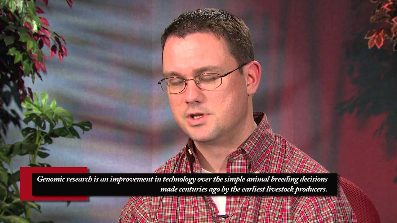 Mapping the Bovine Genome - Dr. Matt Spangler - YouTube