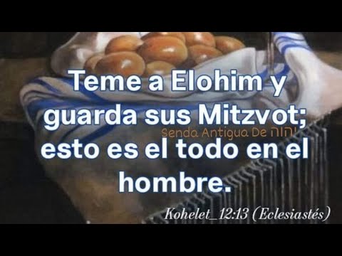 Es la lectura de las Aliyot 4-5 - YouTube