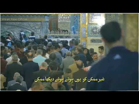11 Zilqad Wiladat Imam Ali Raza as | Wiladat WhatsApp Status | Ya Imam E Raza Noha Status