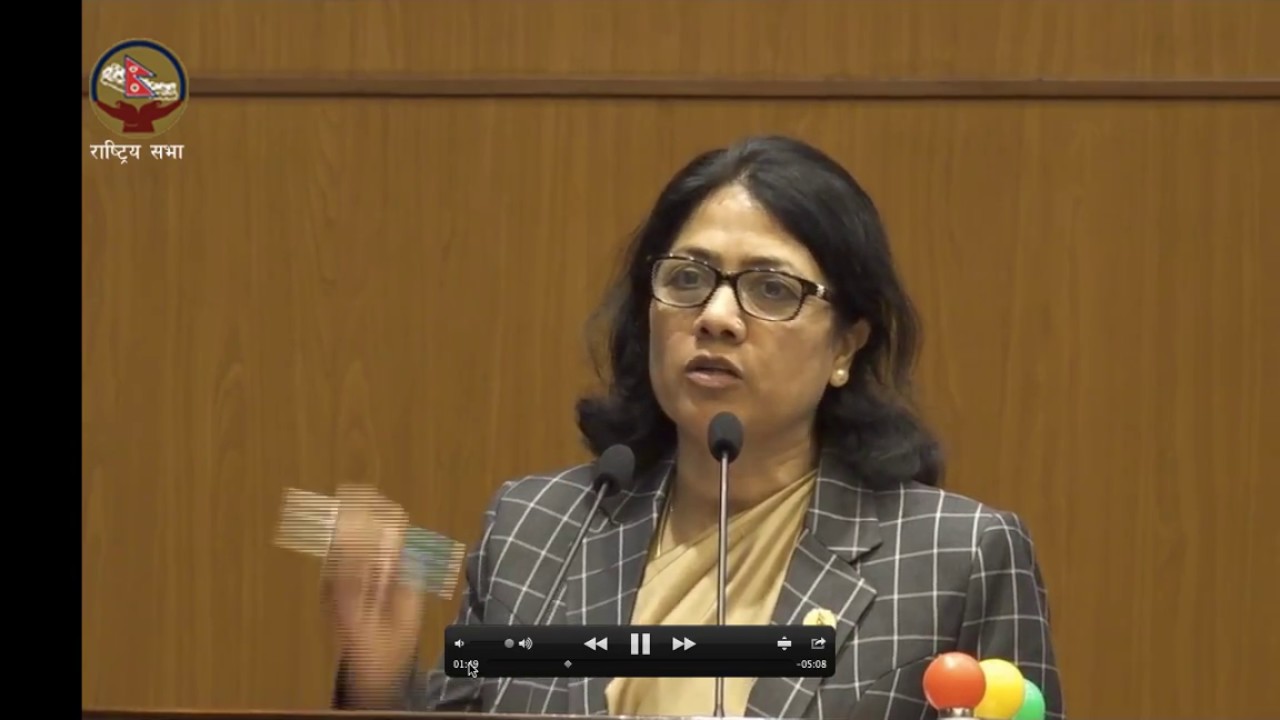 Dr Bimala Rai Paudyal commenting on Pre-Budget discussion at Federal ...