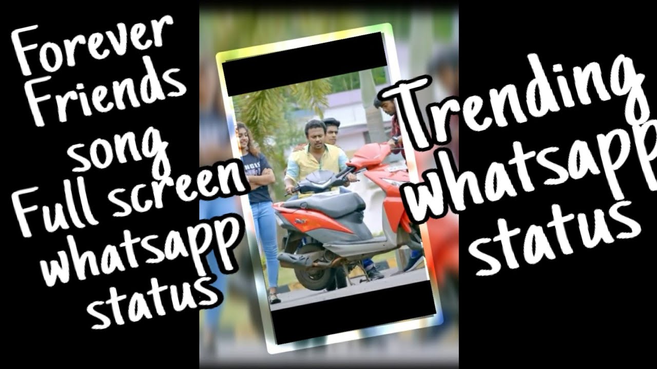 Forever Friends song lyrics whatsapp status | Trending template ...