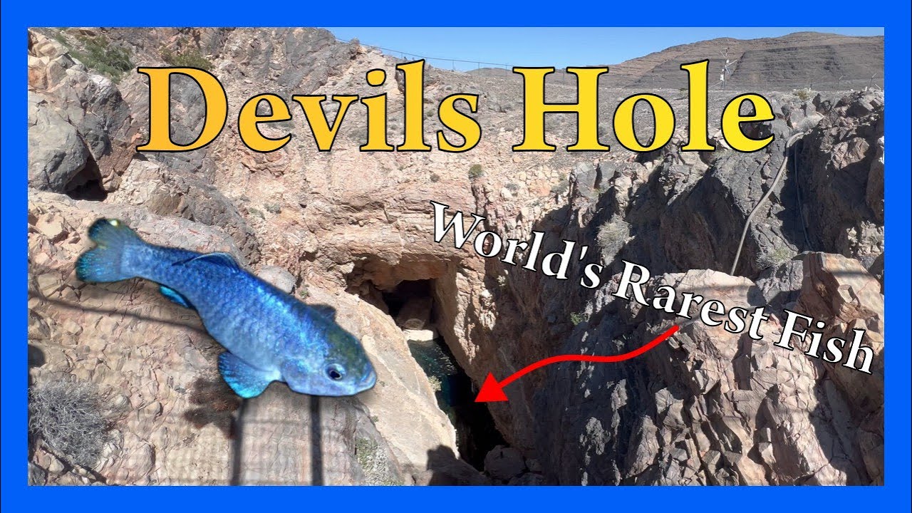 Devils Hole: Nevada's Window to the Aquifer - YouTube