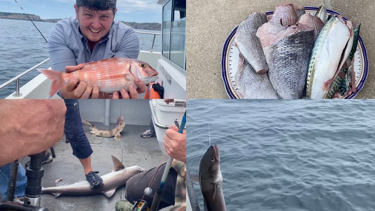 Out of the blue, guernsey (tope, bull huss, conger eels, etc & a catch ...