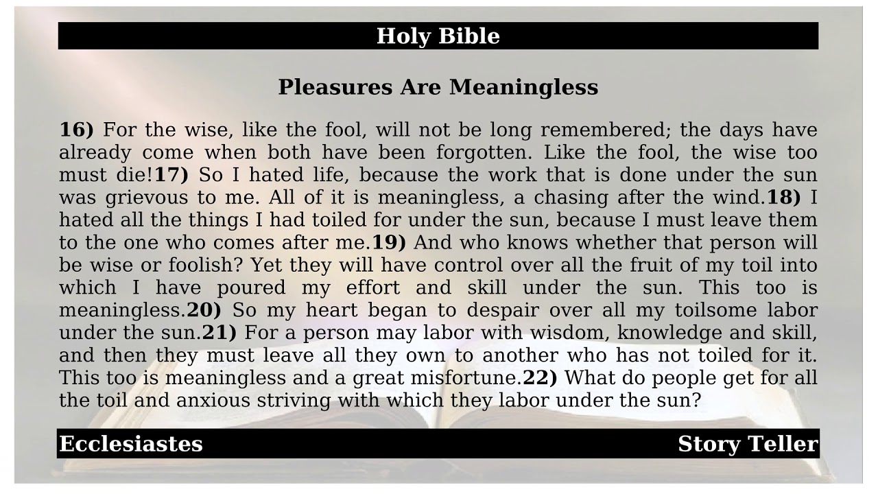Ecclesiastes - Chapter 2 - Pleasures Are Meaningless - The Holy Bible ...
