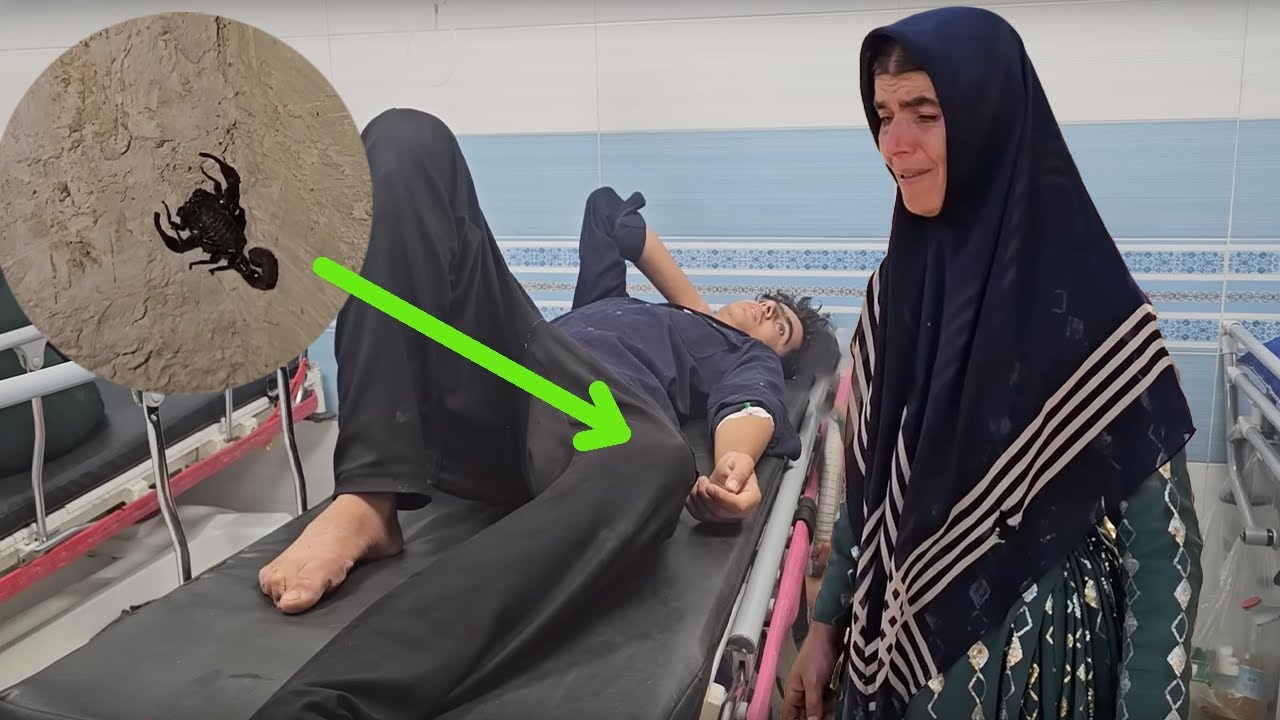 Akram in shock and sadness: A scorpion stung Ali Akbar's leg - YouTube