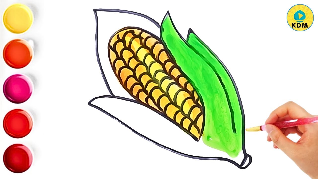 Corn Drawing For Kids