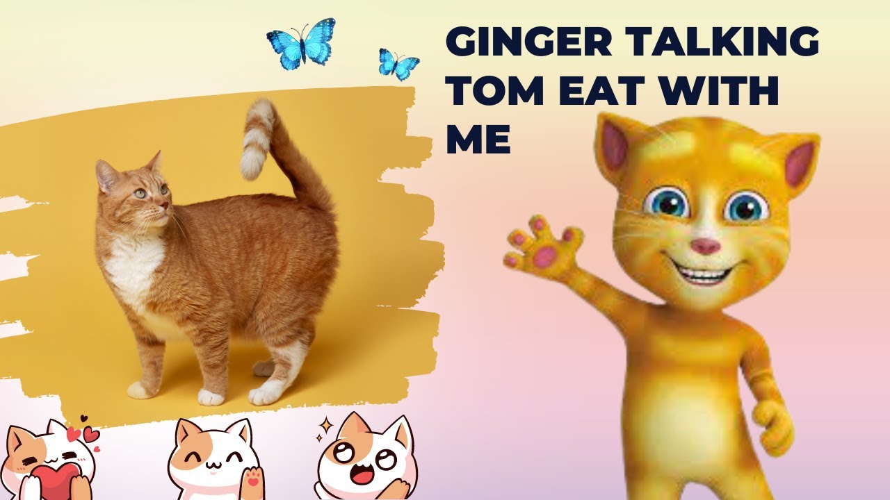 Ginger talking Tom EAT with me Fantastic Food! 😋🧁 Talking Tom - YouTube