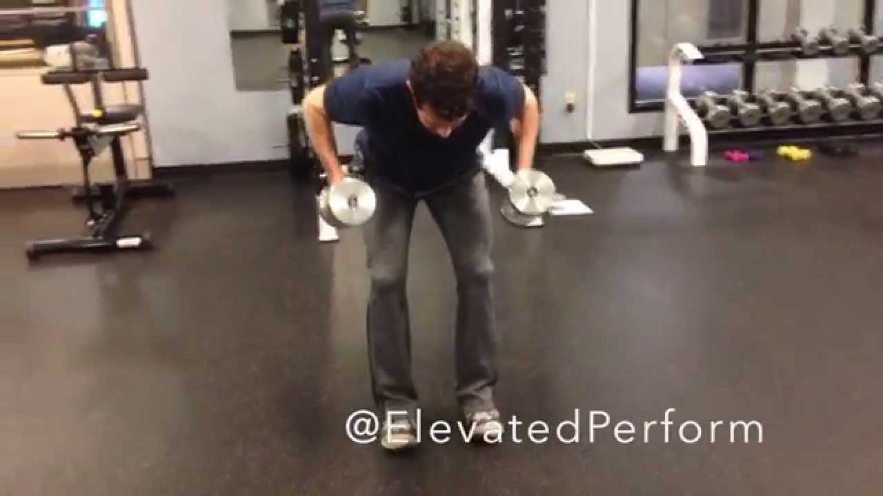 Standing Dumbbell Row (Bilateral) Neutral Grip | Elevated Performance ...