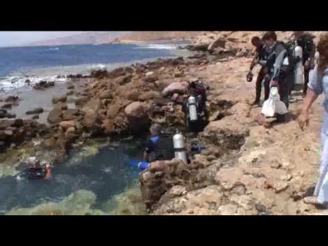 Diving Dahab 2010 - Nesima Resort
