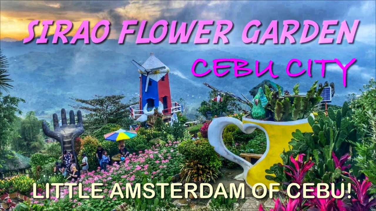 Sirao Flower Garden: Little Amsterdam of Cebu! - YouTube