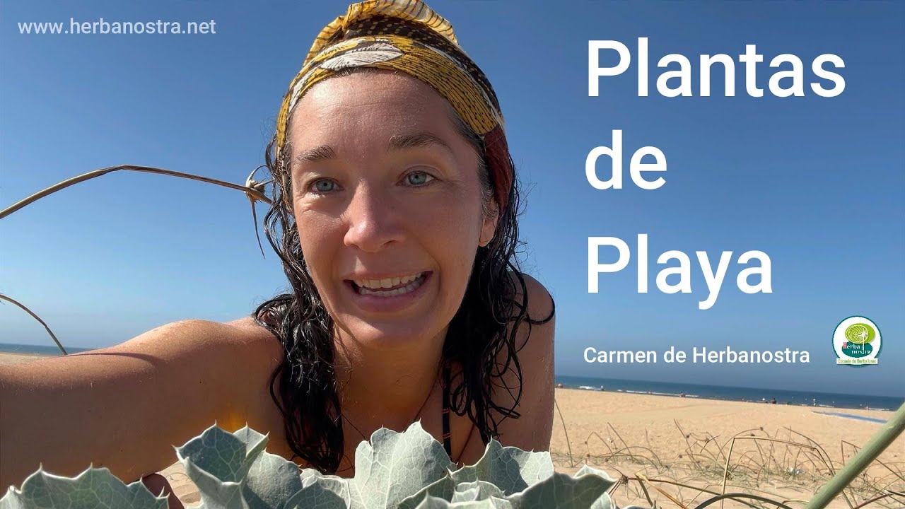 Conoces las propiedades de las Plantas de Playa? - YouTube