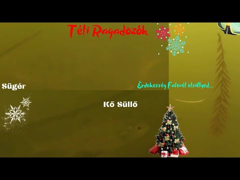 Holt-Maros Élővilága 39. FHD - YouTube