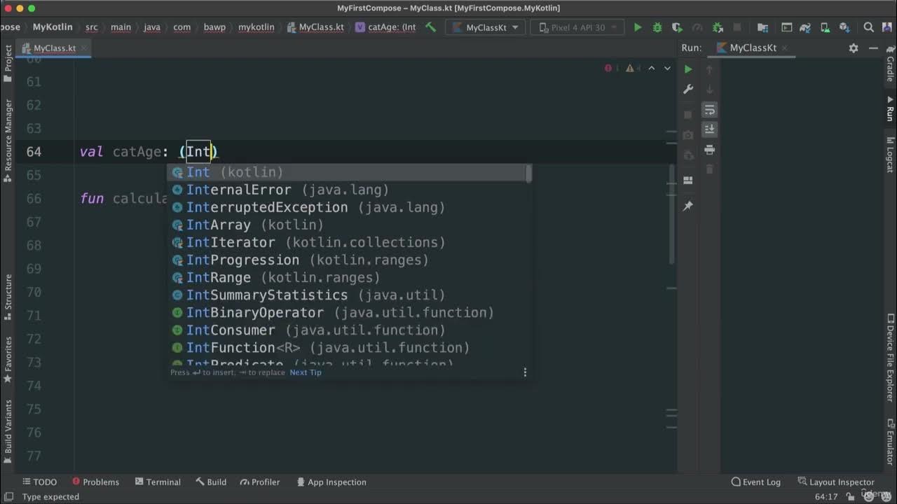 040 Kotlin Programming Language Fundamentals - CHALLENGE SOLUTION CatAge To Lambda Expression ...
