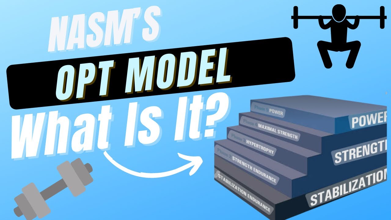 NASM's OPT Model Explained / How To Incorporate It || For BEGINNERS ...