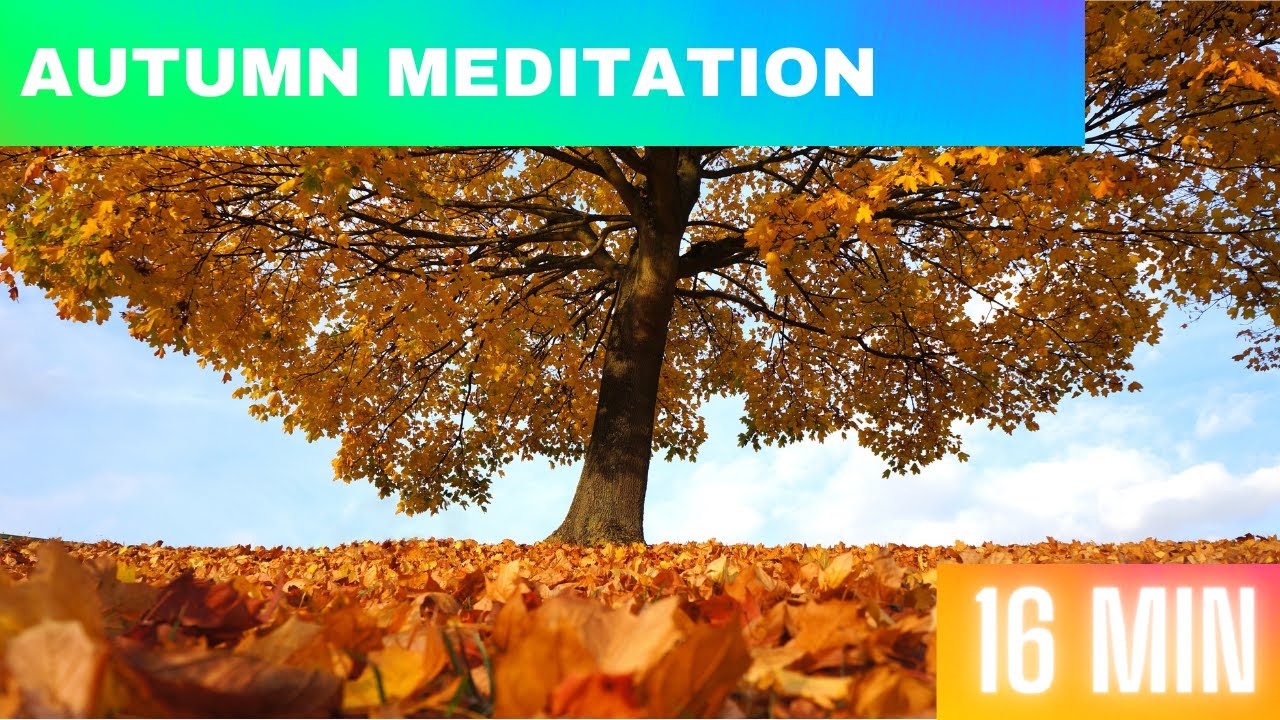 AUTUMN MEDITATION - 16 MINUTES TO CONNECT WITH YOUR INNER BEING - YouTube