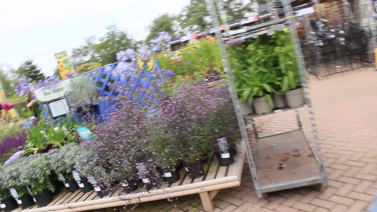 Garson Farm Shop visit 2019 Esher UK - YouTube