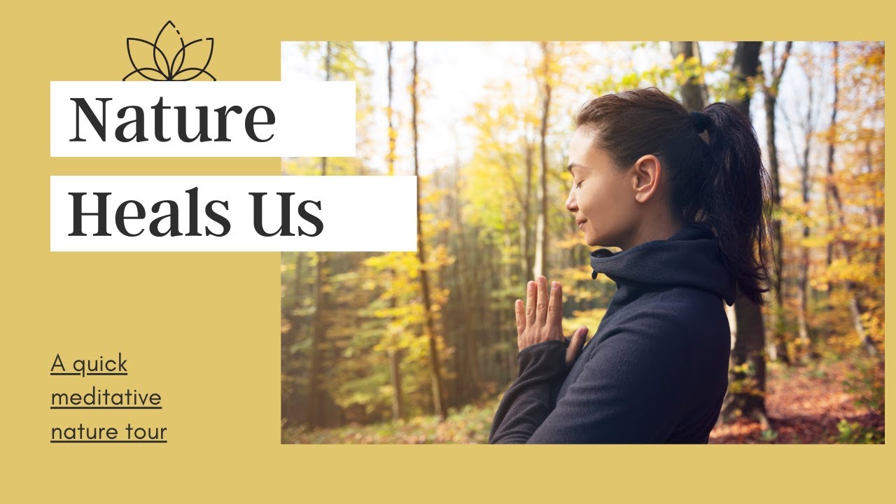 Find Your Zen - A Meditative Nature Tour - YouTube