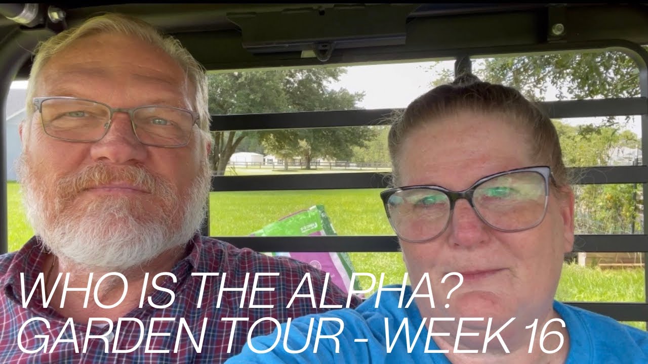 Who is the Alpha? Garden Tour - Week 16 - YouTube