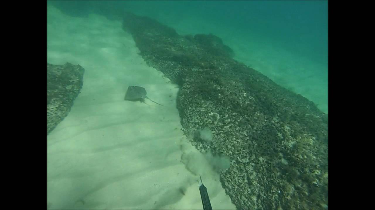 Shallow Water Addiction Part 4 - YouTube