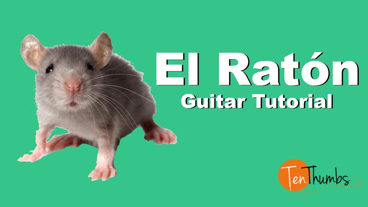 Cheo Feliciano - El Ratón - Latin Guitar Tutorial - YouTube