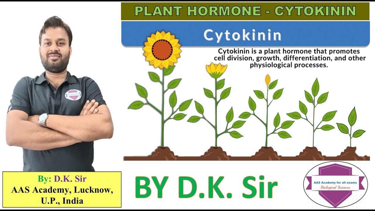 Cytokinin Plant Hormone Explained | Role, Function & Importance | By DK ...