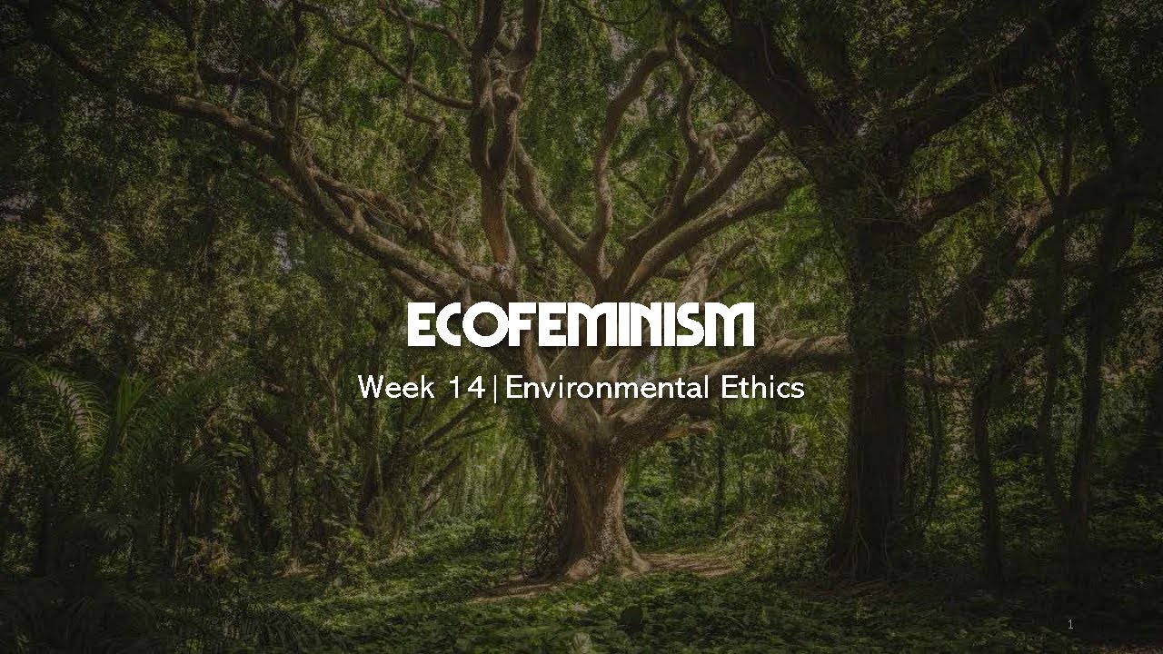 Environmental Ethics | Plumwood's Ecofeminism - YouTube