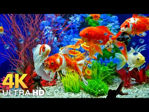 🌿 Ürək və damarlar üçün müalicəvi musiqi 🌿 Əsəb sistemini sakitləşdirən və ruhu sevindirən 🌿