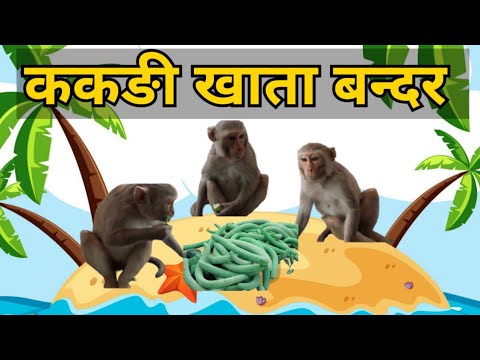 bandar ki video | kakdi khata bandar | monkey video | monky comedy ...